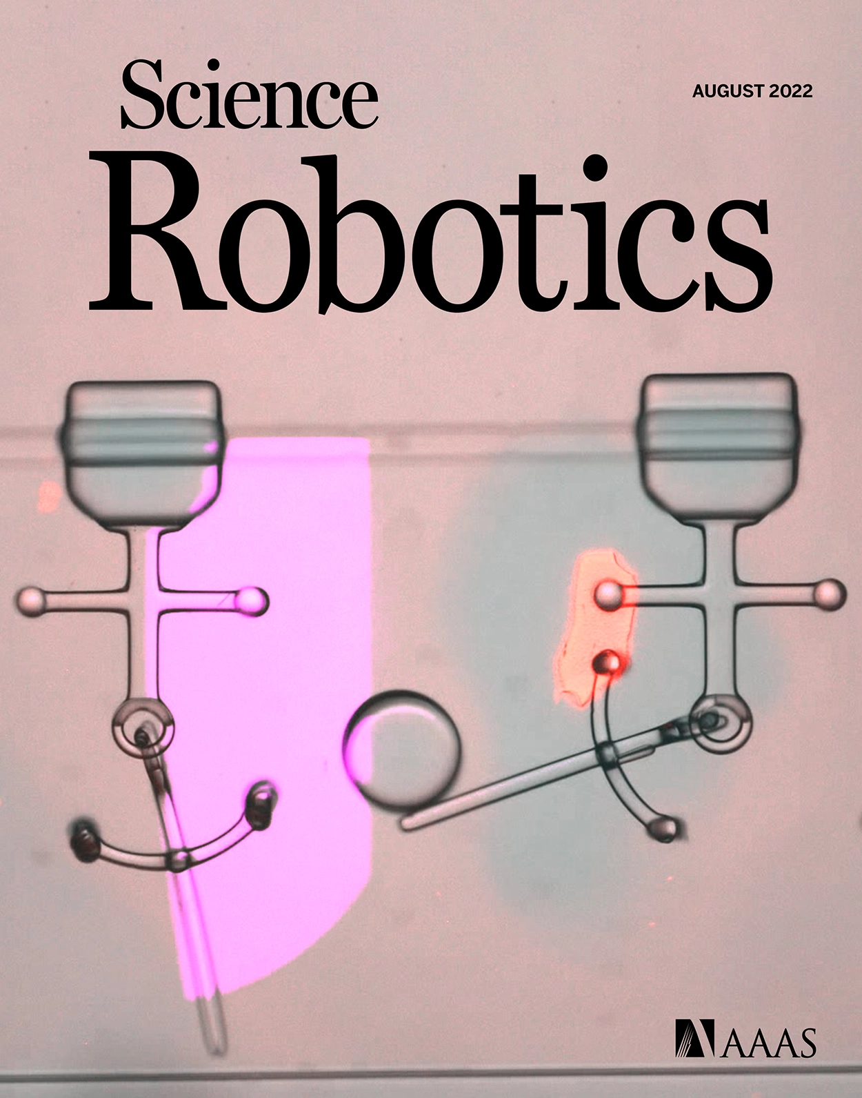 In situ integrated microrobots driven by artificial muscles built from ...